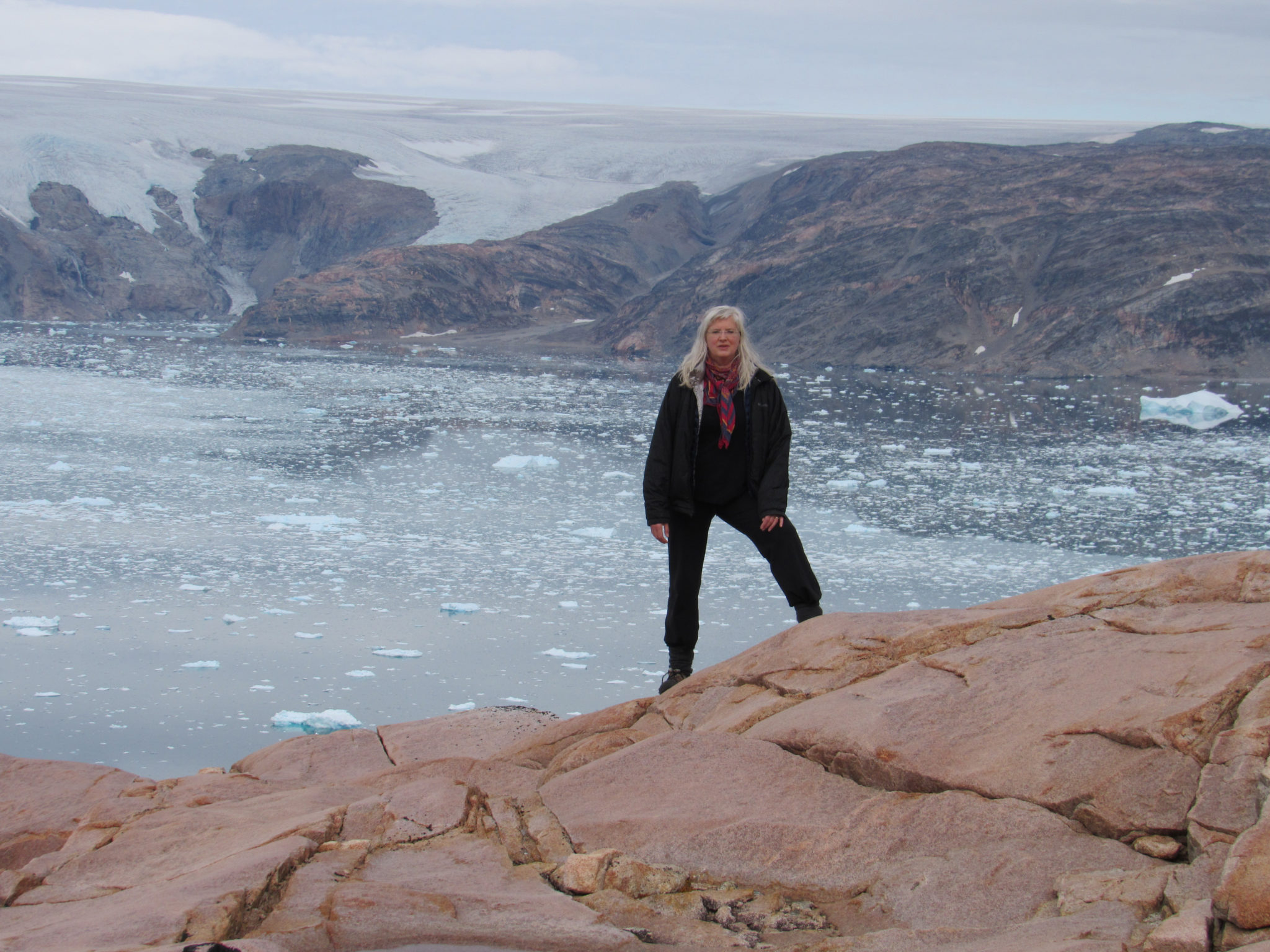 Mystery Book Club with Author Erica Ferencik - Bacon Free Library